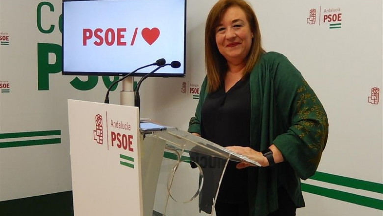 El PSOE-A dice que hará una "oposición implacable" al Gobierno andaluz ...