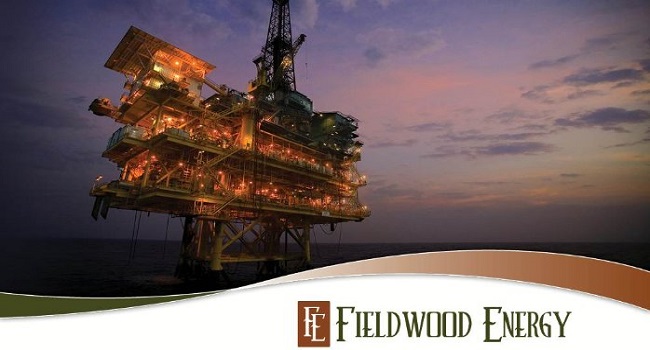 Fieldwood Energy comienza inversiones y trabajos en Campeche tras ganar ...